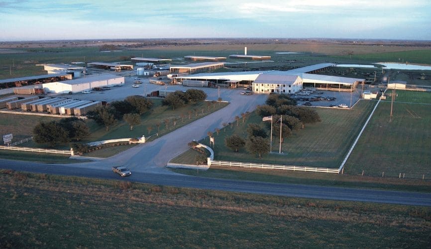 Jim Schwertner - Capitol Land and Livestock | Calf News