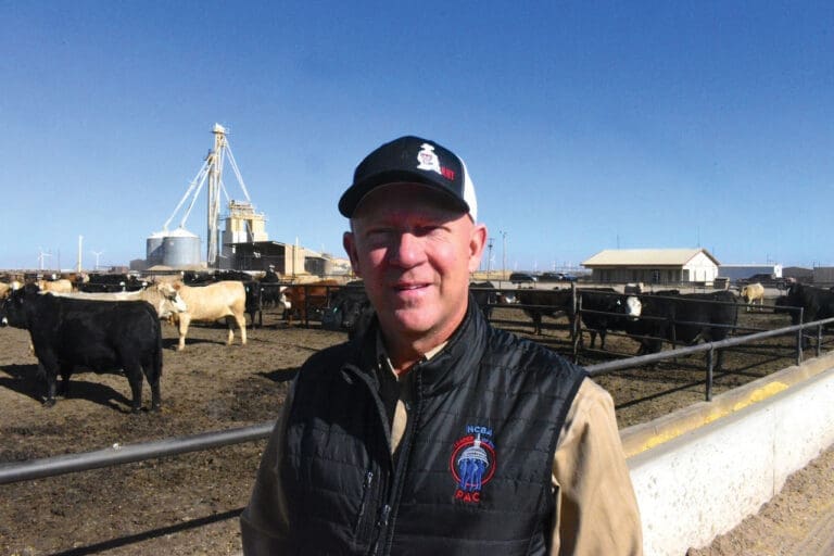 2025 TCFA Chairman Not Afraid to Get to Work | Calf News